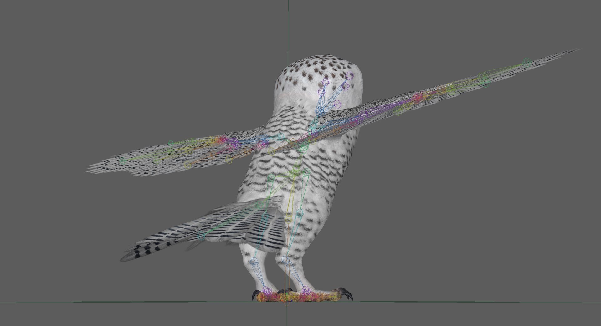 3D Model Snowy White Owl Rig - TurboSquid 2334612