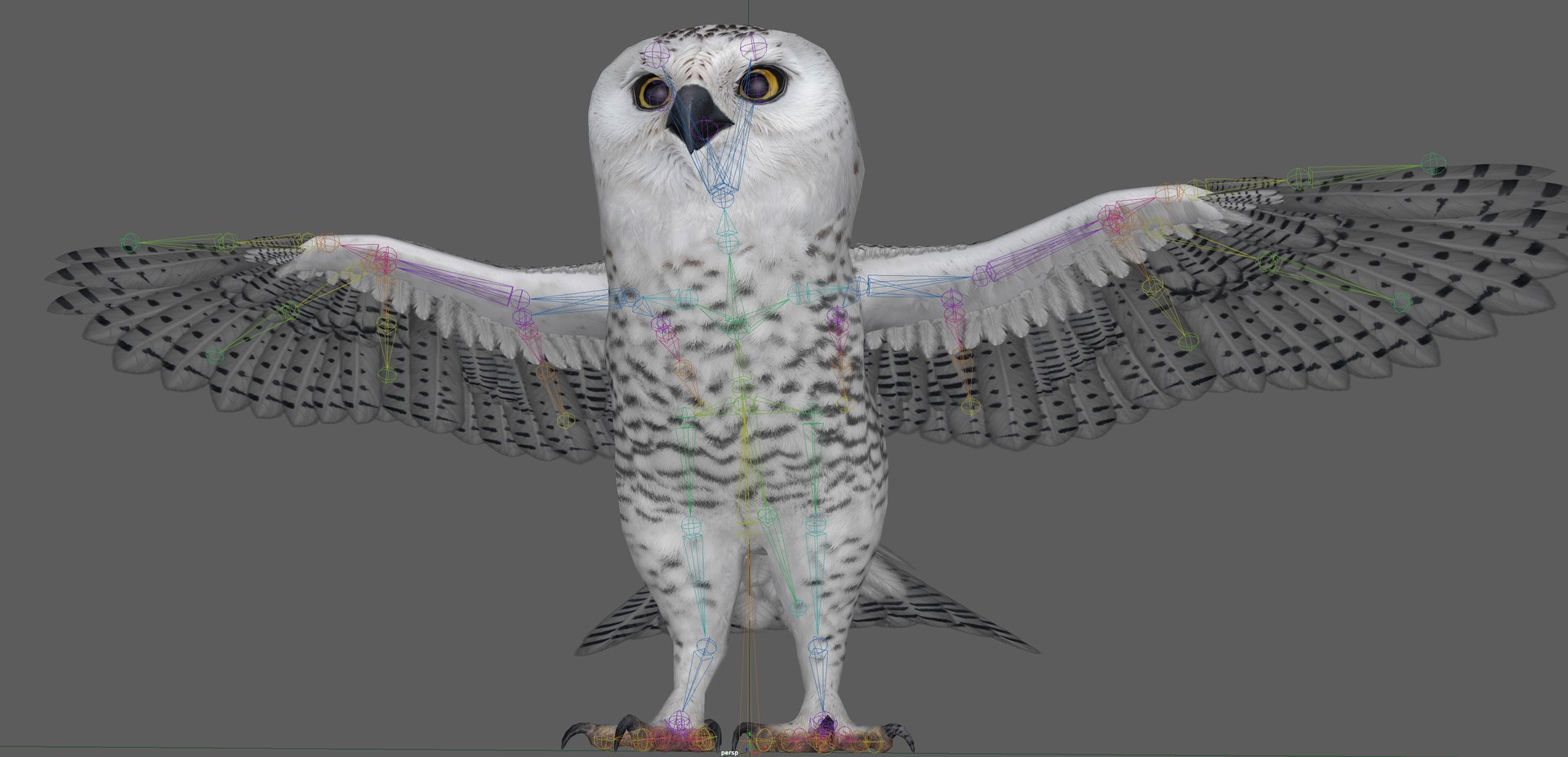 3D Model Snowy White Owl Rig - TurboSquid 2334612