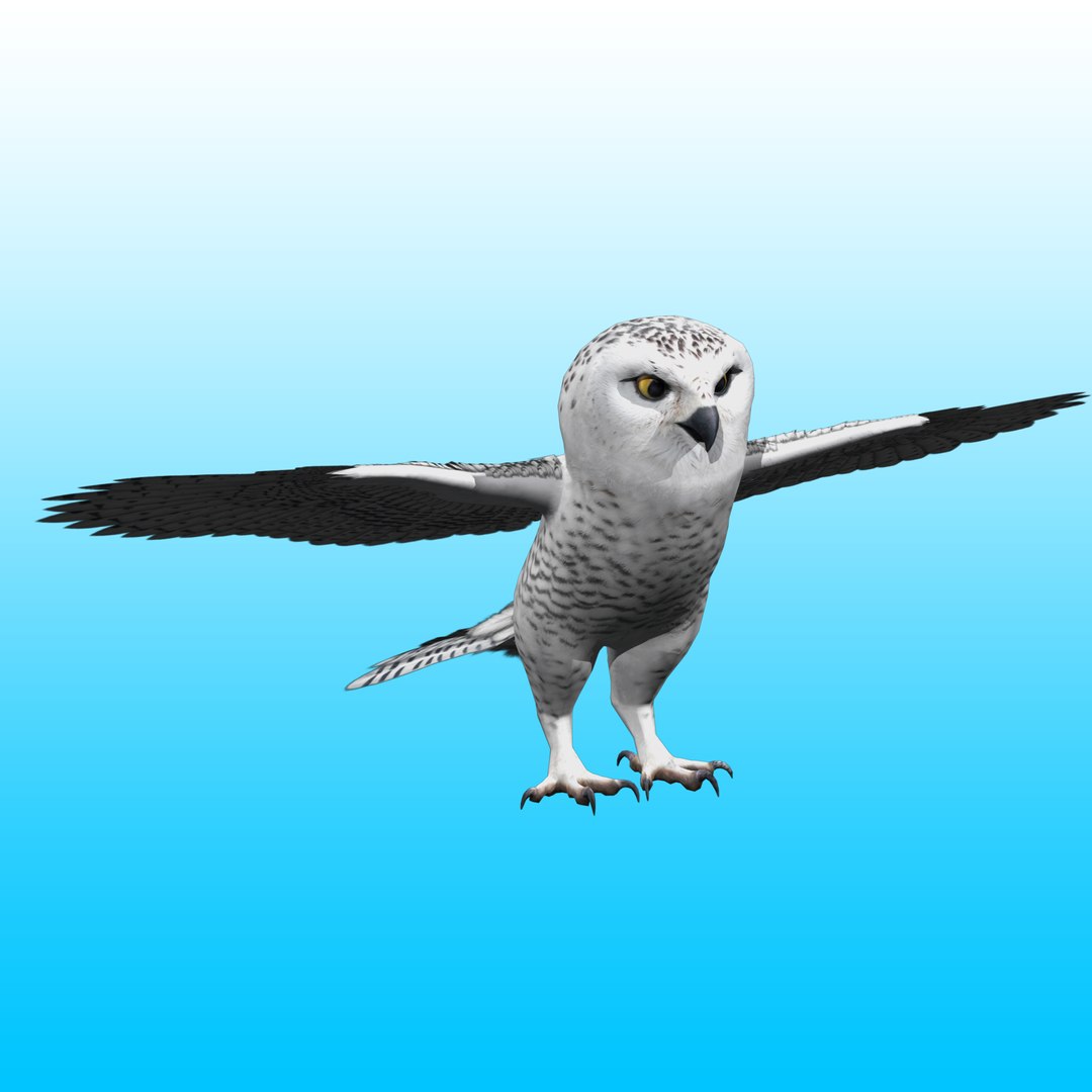 3D Model Snowy White Owl Rig - TurboSquid 2334612