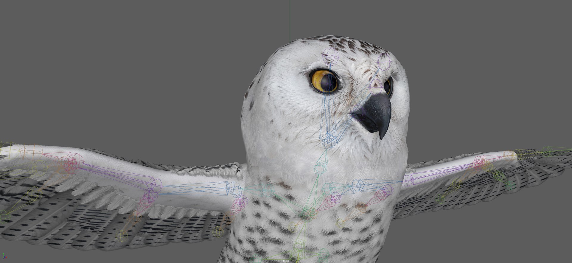 3D Model Snowy White Owl Rig - TurboSquid 2334612