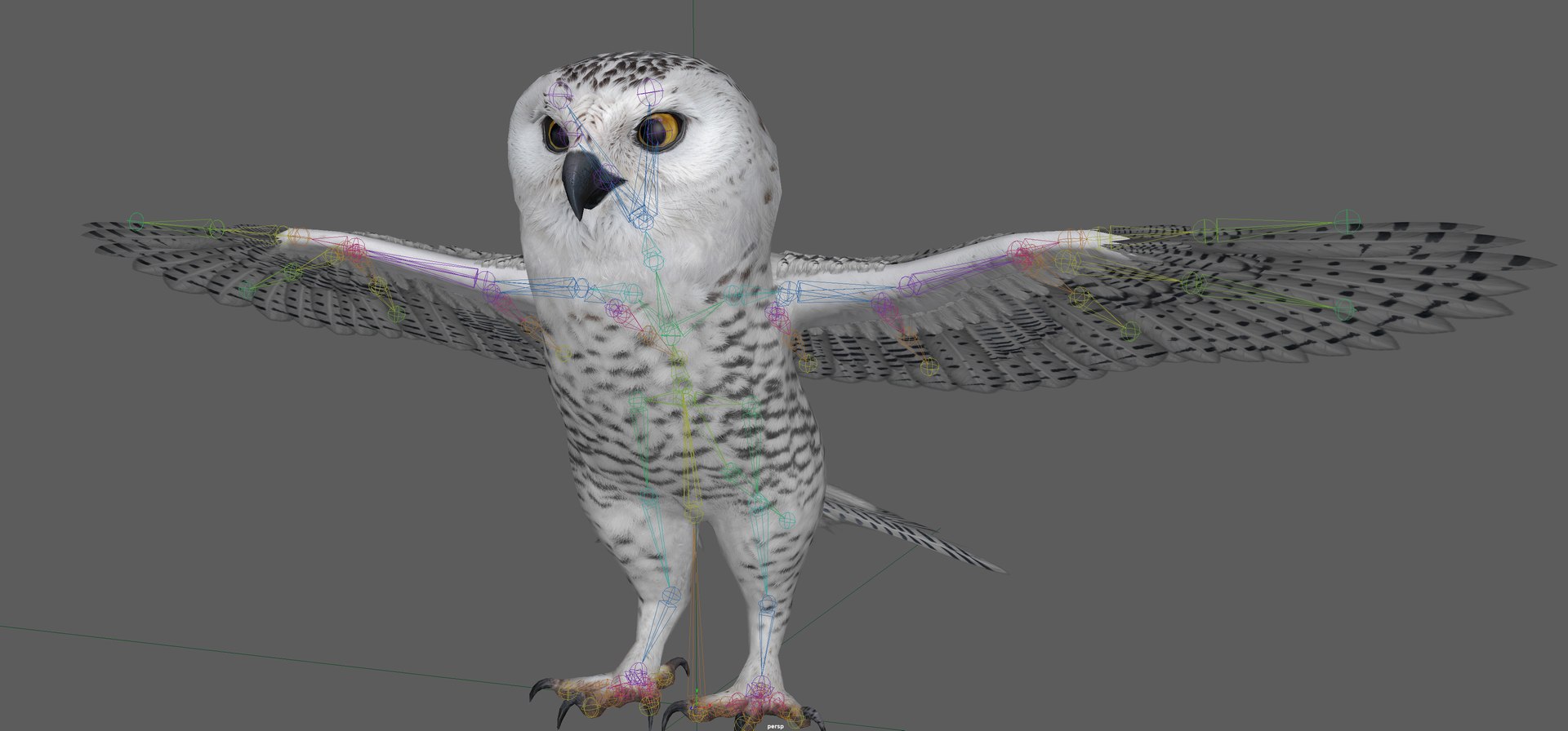 3D Model Snowy White Owl Rig - TurboSquid 2334612