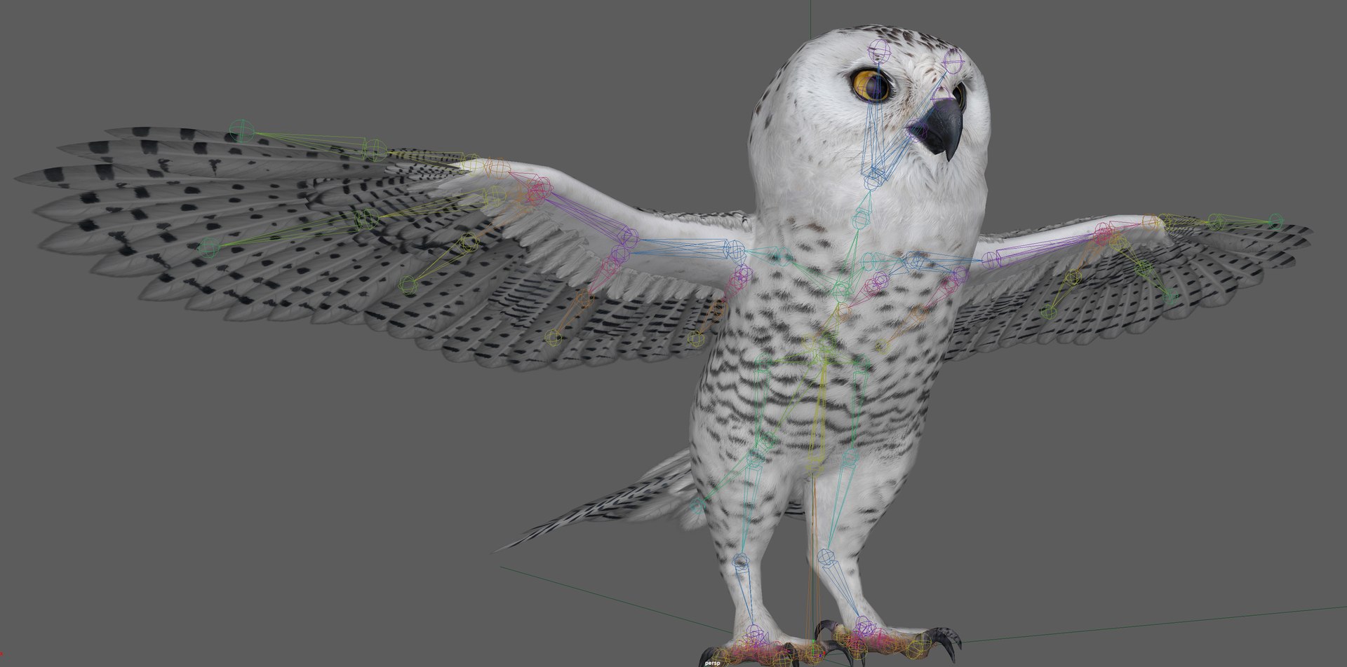 3D Model Snowy White Owl Rig - TurboSquid 2334612