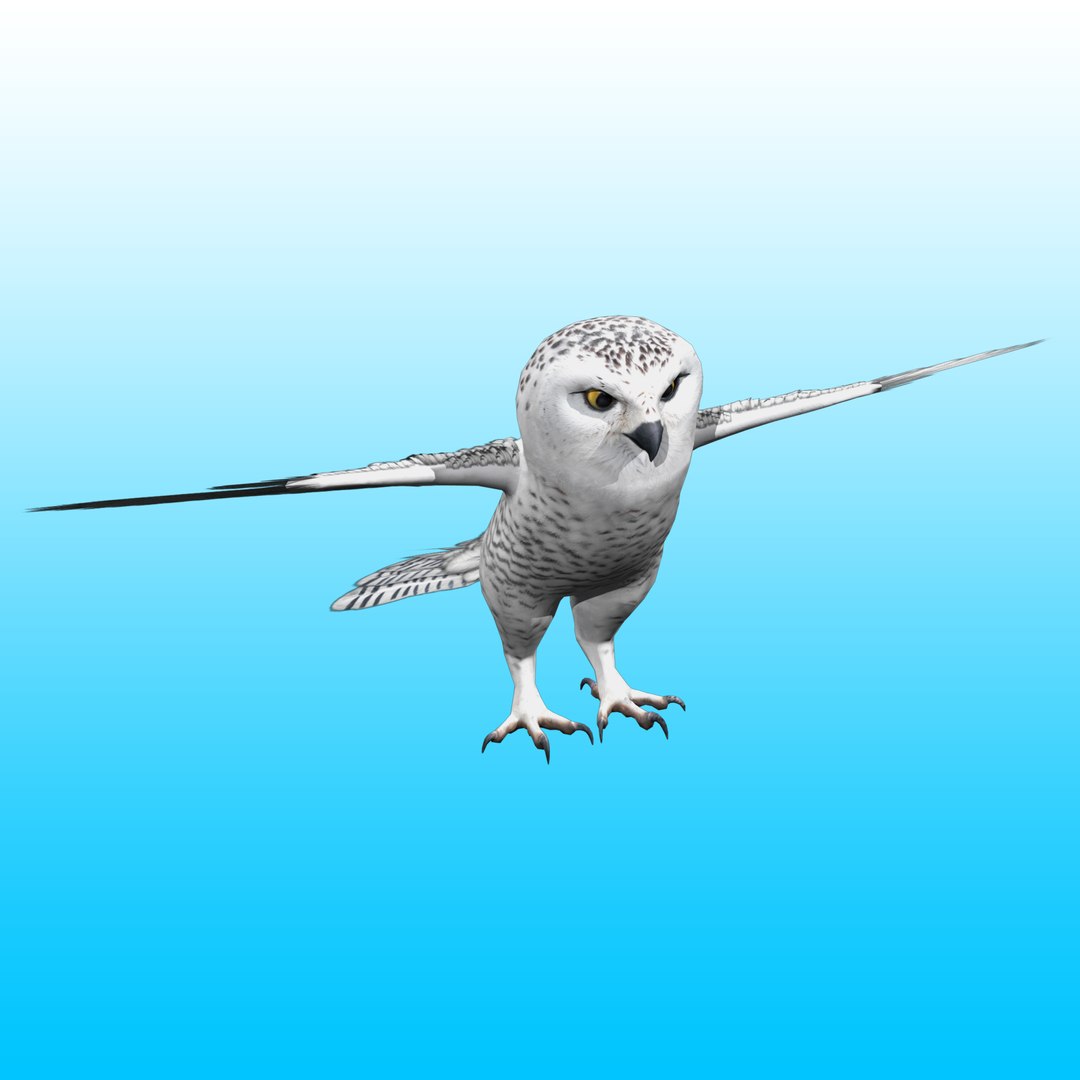 3D Model Snowy White Owl Rig - TurboSquid 2334612
