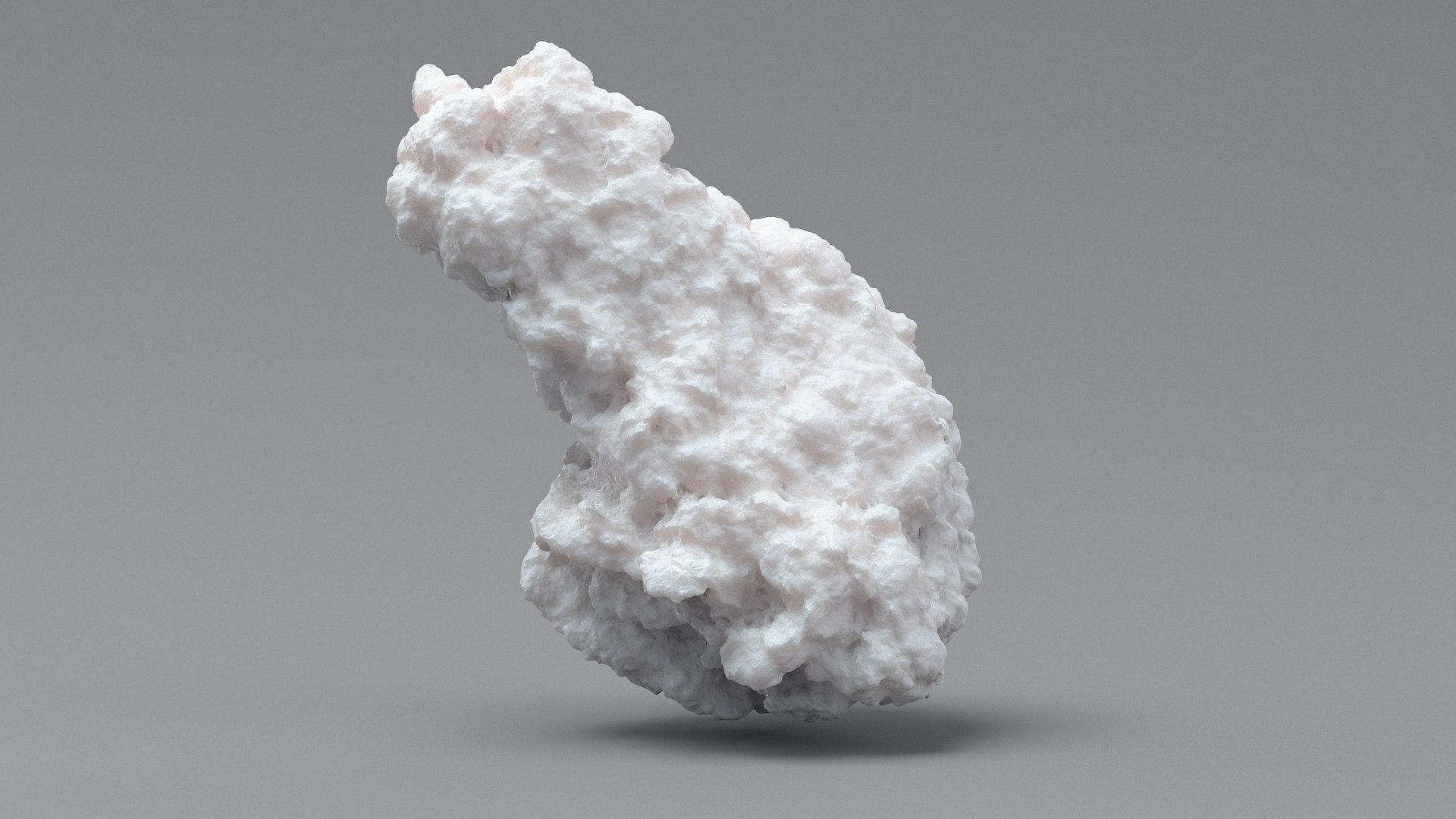 3D model Realistic Chicken Fry 1 - TurboSquid 1771756