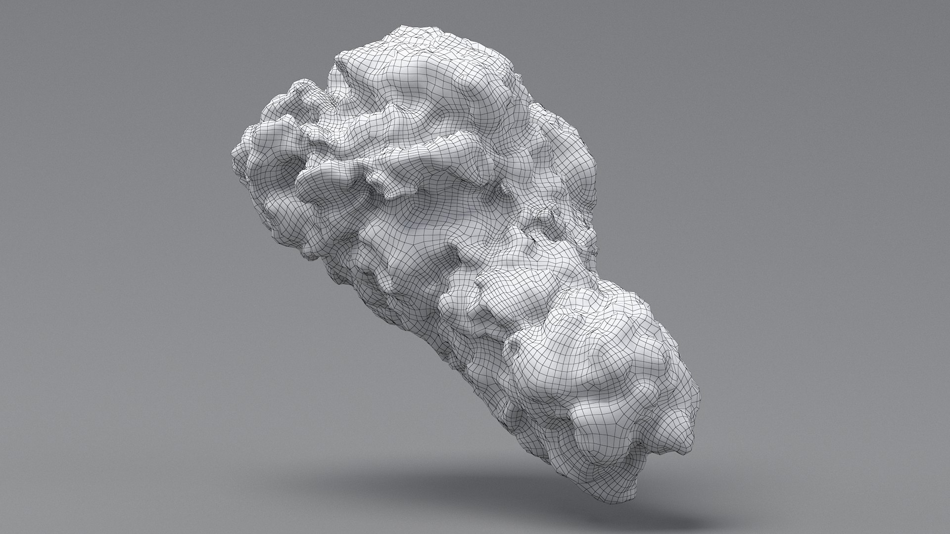 3D model Realistic Chicken Fry 1 - TurboSquid 1771756