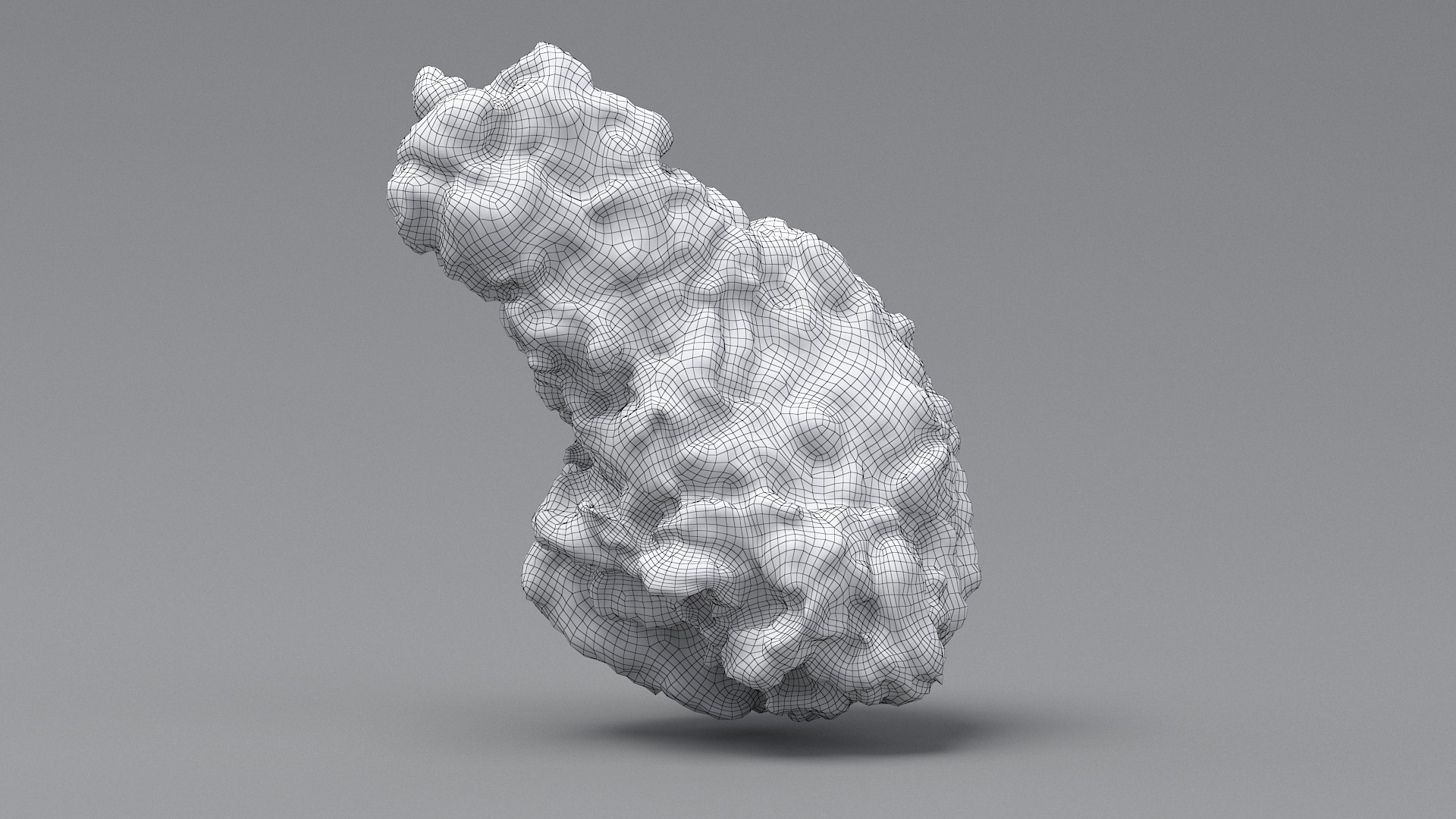 3D model Realistic Chicken Fry 1 - TurboSquid 1771756