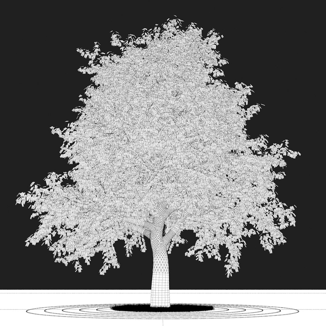 Platanus Tree Bark 3d Max