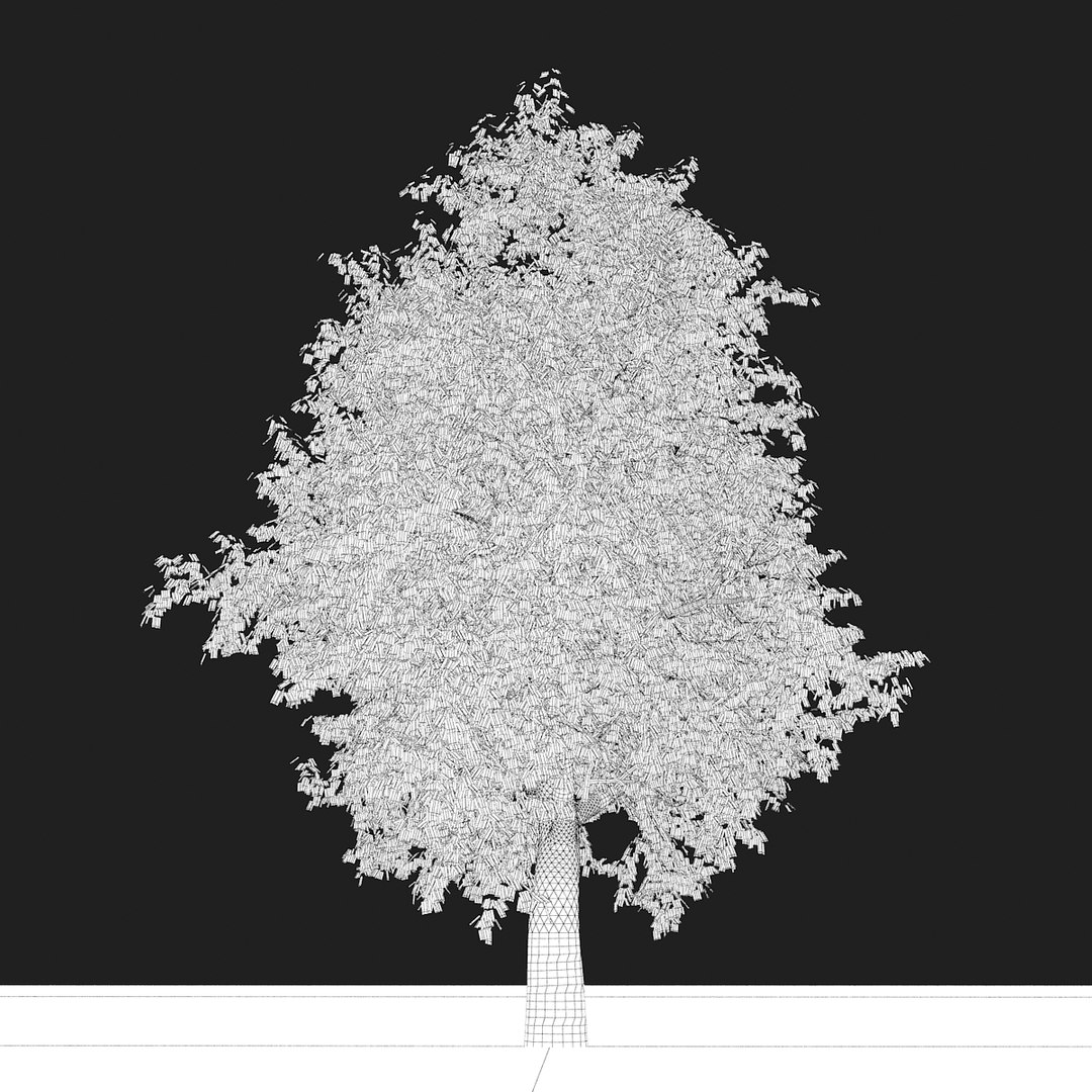 Platanus Tree Bark 3d Max