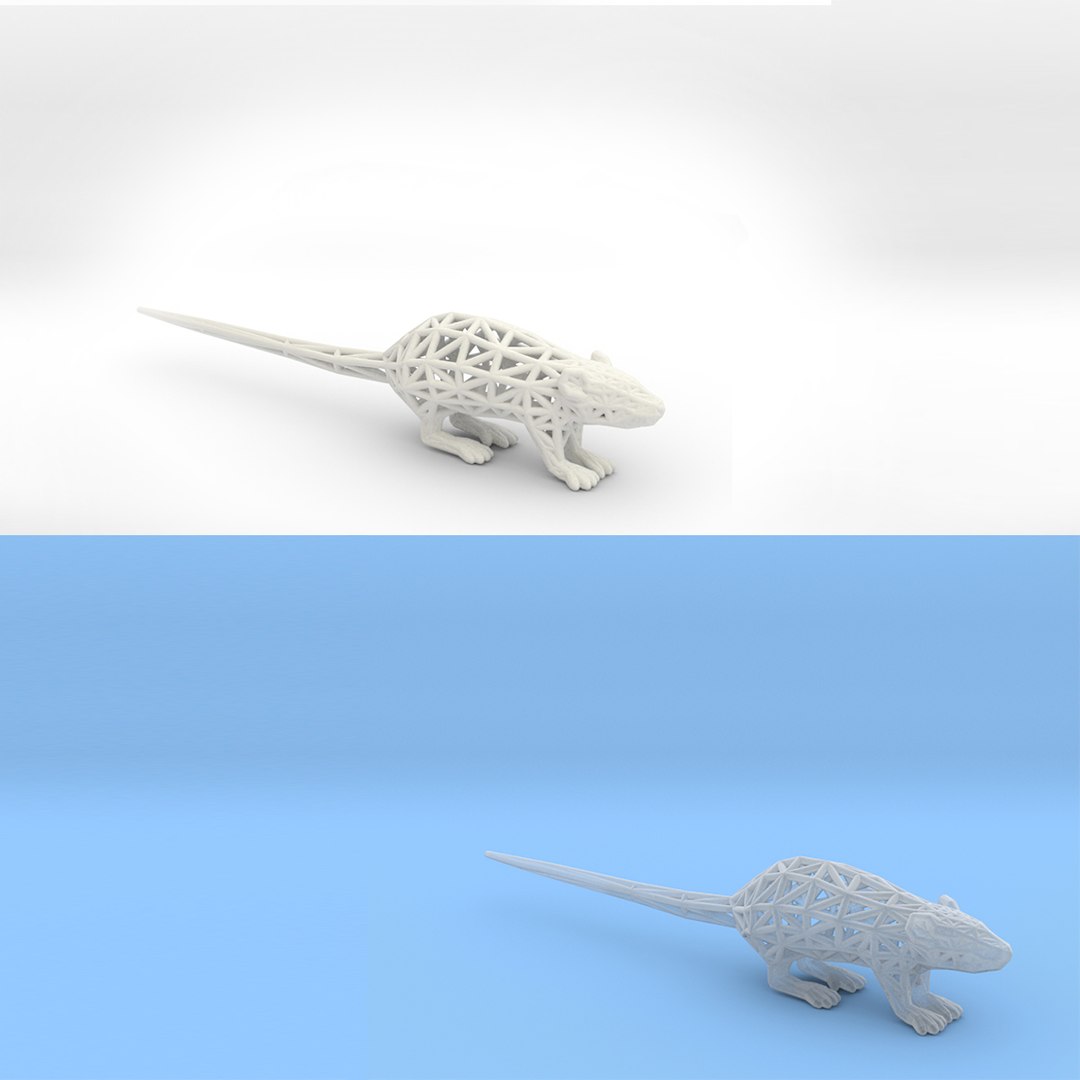 3D Rats Mouse Model - TurboSquid 1488557
