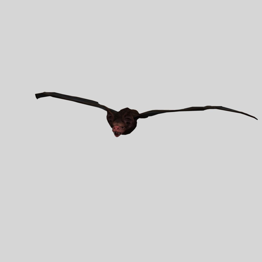 3d Vampire Bat Fly Animation