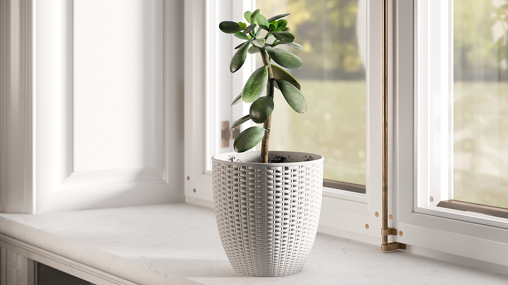 3D Model Money Tree With Windows - Different Colors - TurboSquid 1735971