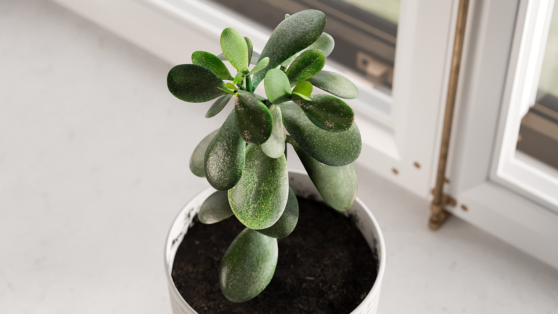 3D Model Money Tree With Windows - Different Colors - TurboSquid 1735971