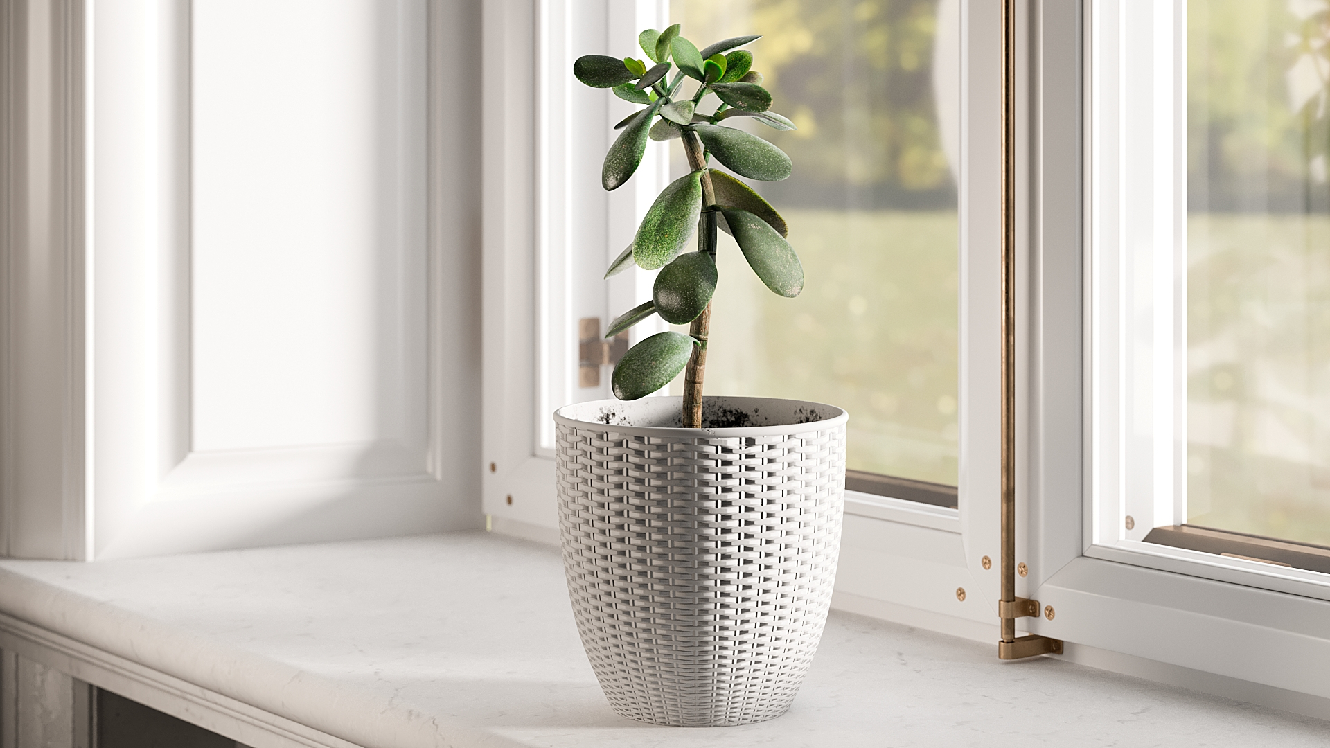 3D Model Money Tree With Windows - Different Colors - TurboSquid 1735971