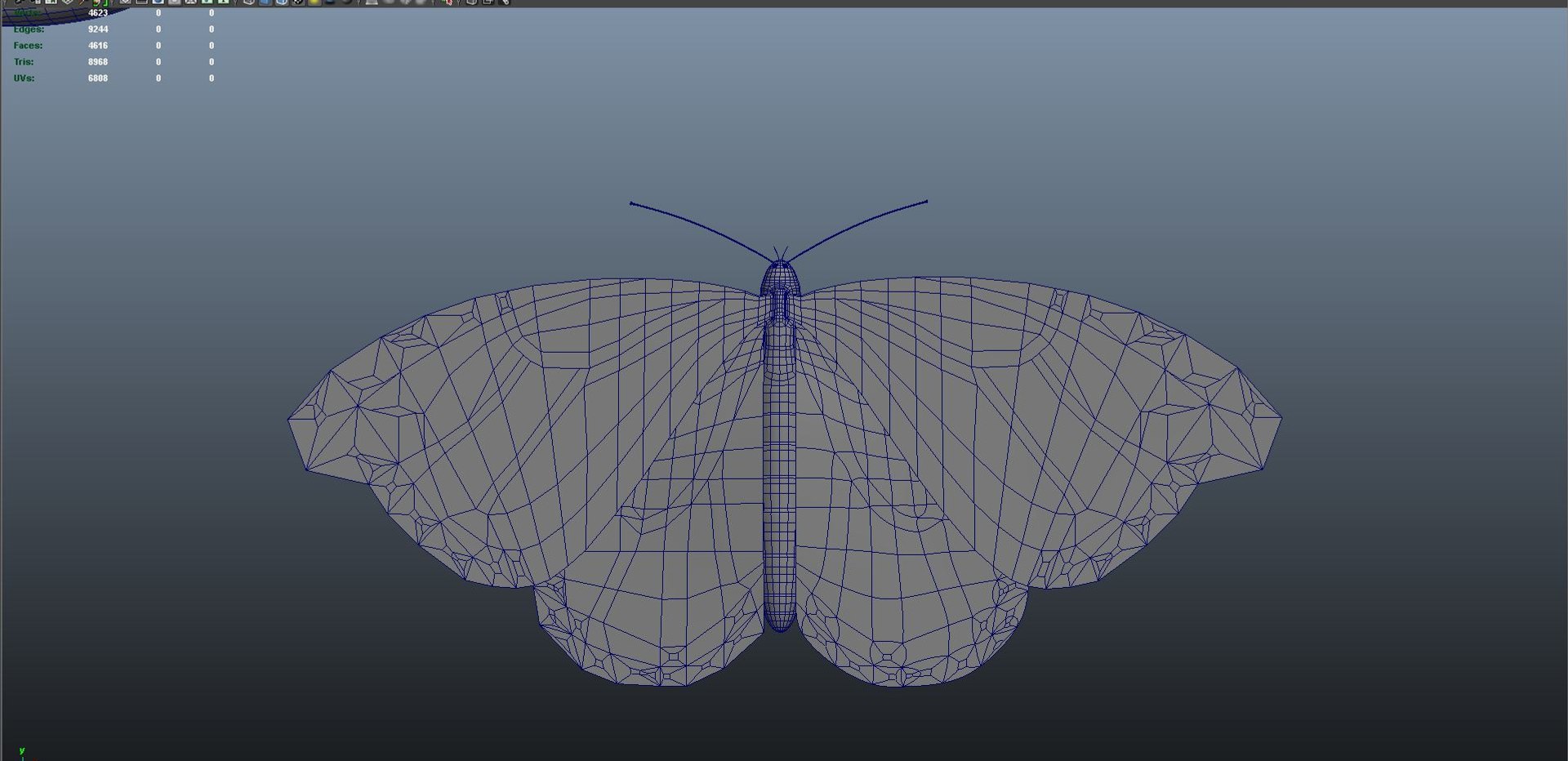 Butterfly Life Cycle Anatomy 3D - TurboSquid 1826646