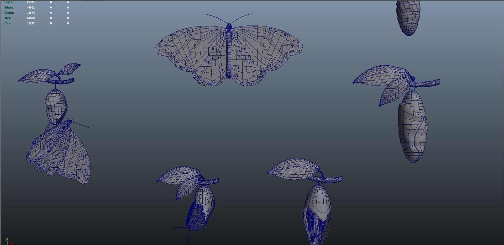 Butterfly Life Cycle Anatomy 3D - TurboSquid 1826646
