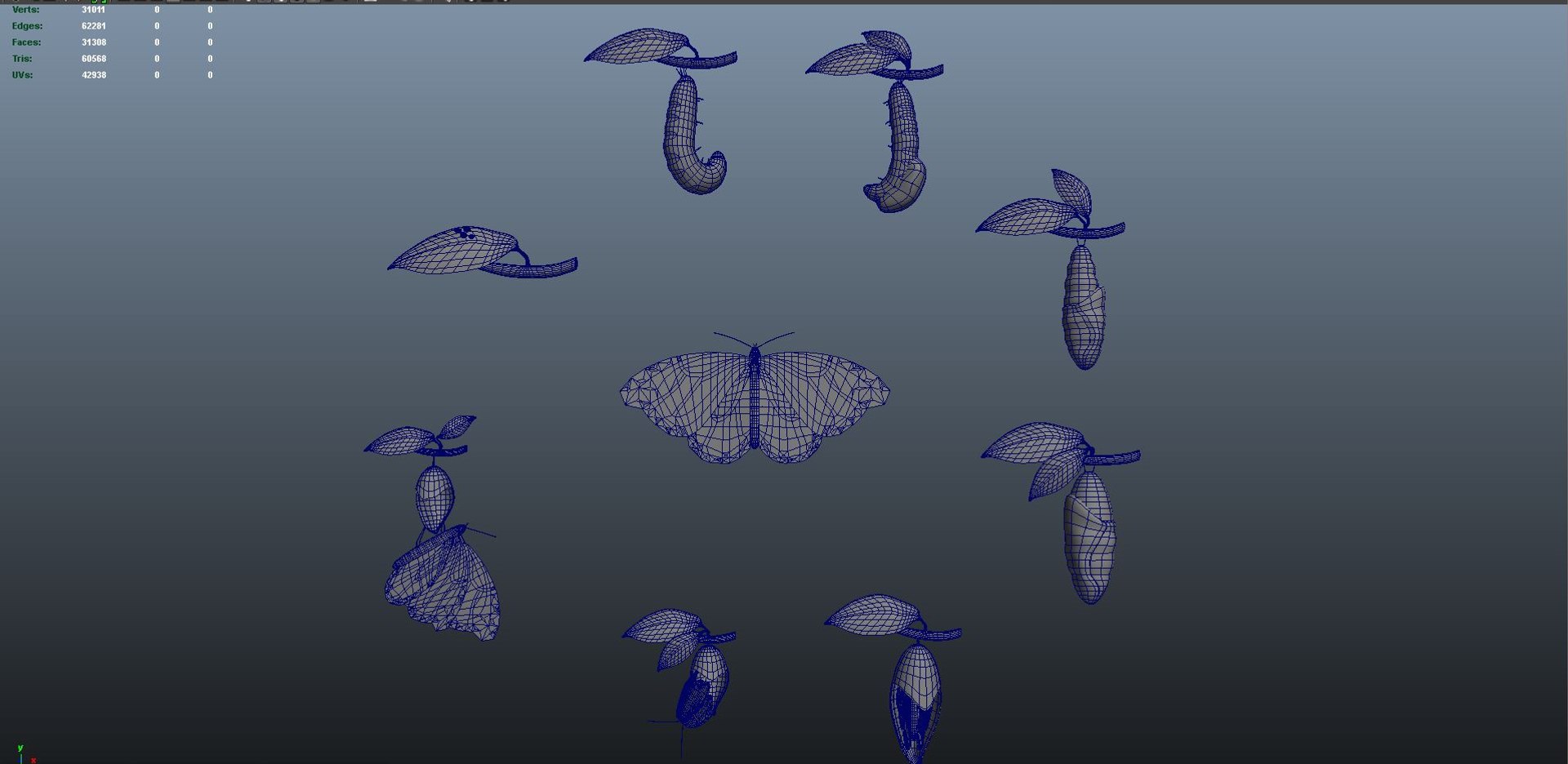 Butterfly Life Cycle Anatomy 3D - TurboSquid 1826646