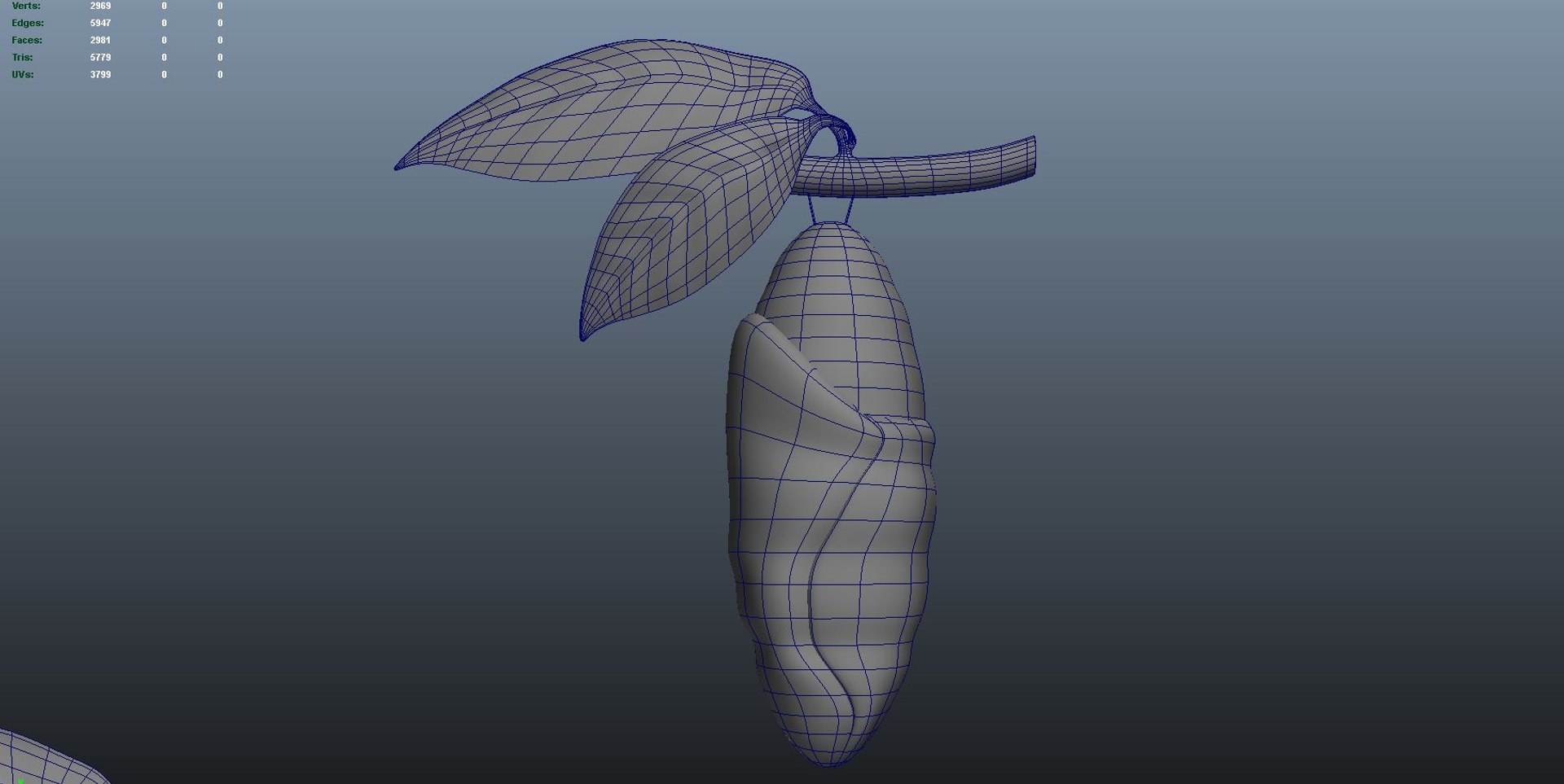 Butterfly Life Cycle Anatomy 3D - TurboSquid 1826646