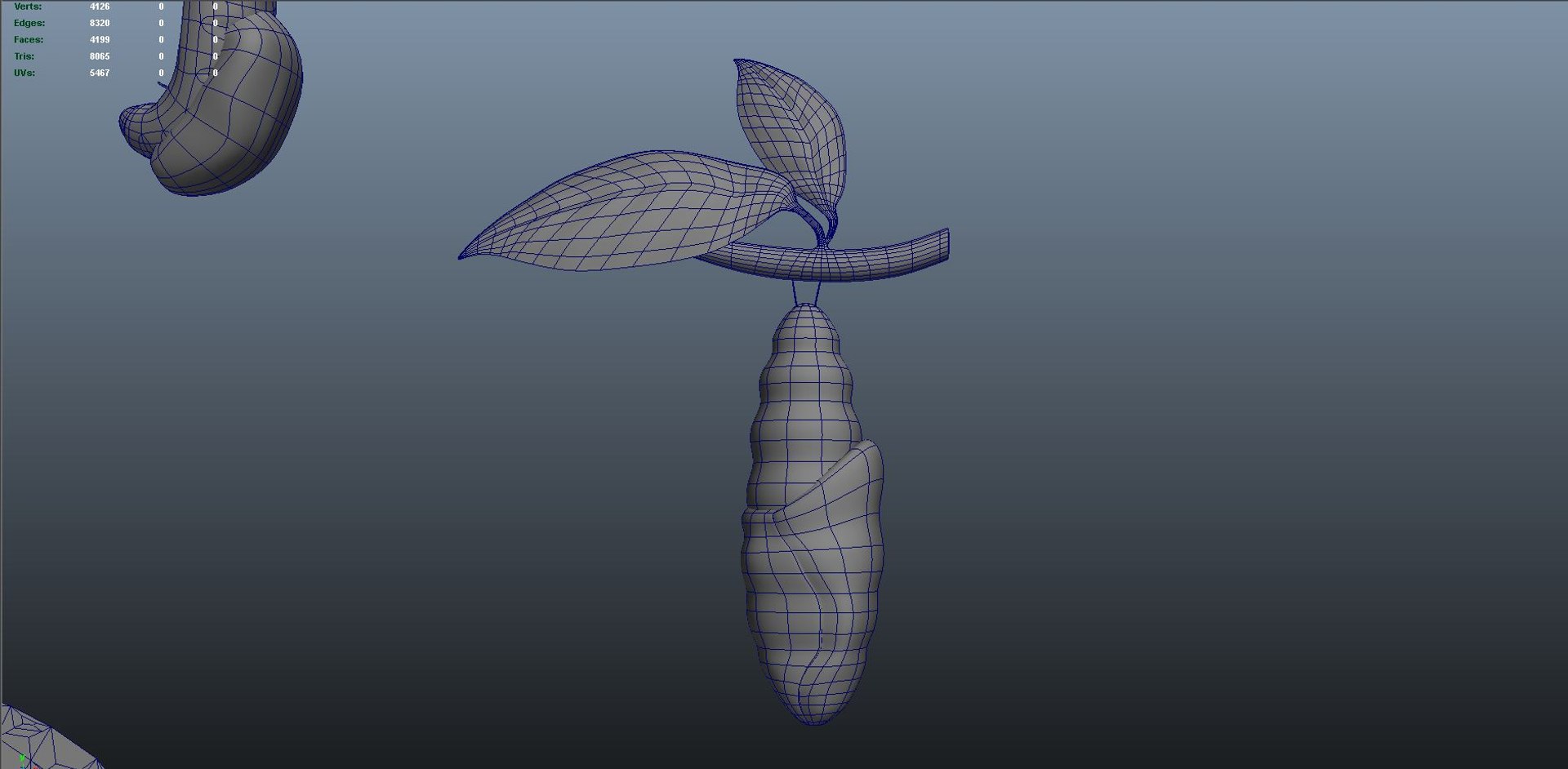 Butterfly Life Cycle Anatomy 3D - TurboSquid 1826646