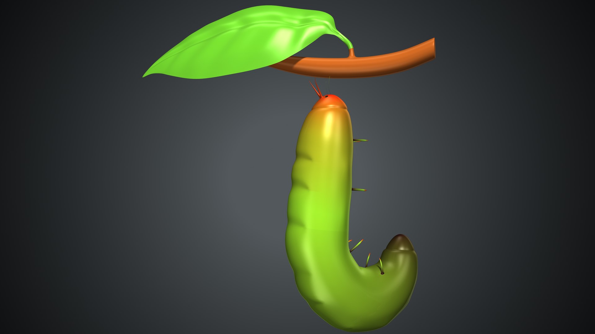 Butterfly Life Cycle Anatomy 3D - TurboSquid 1826646