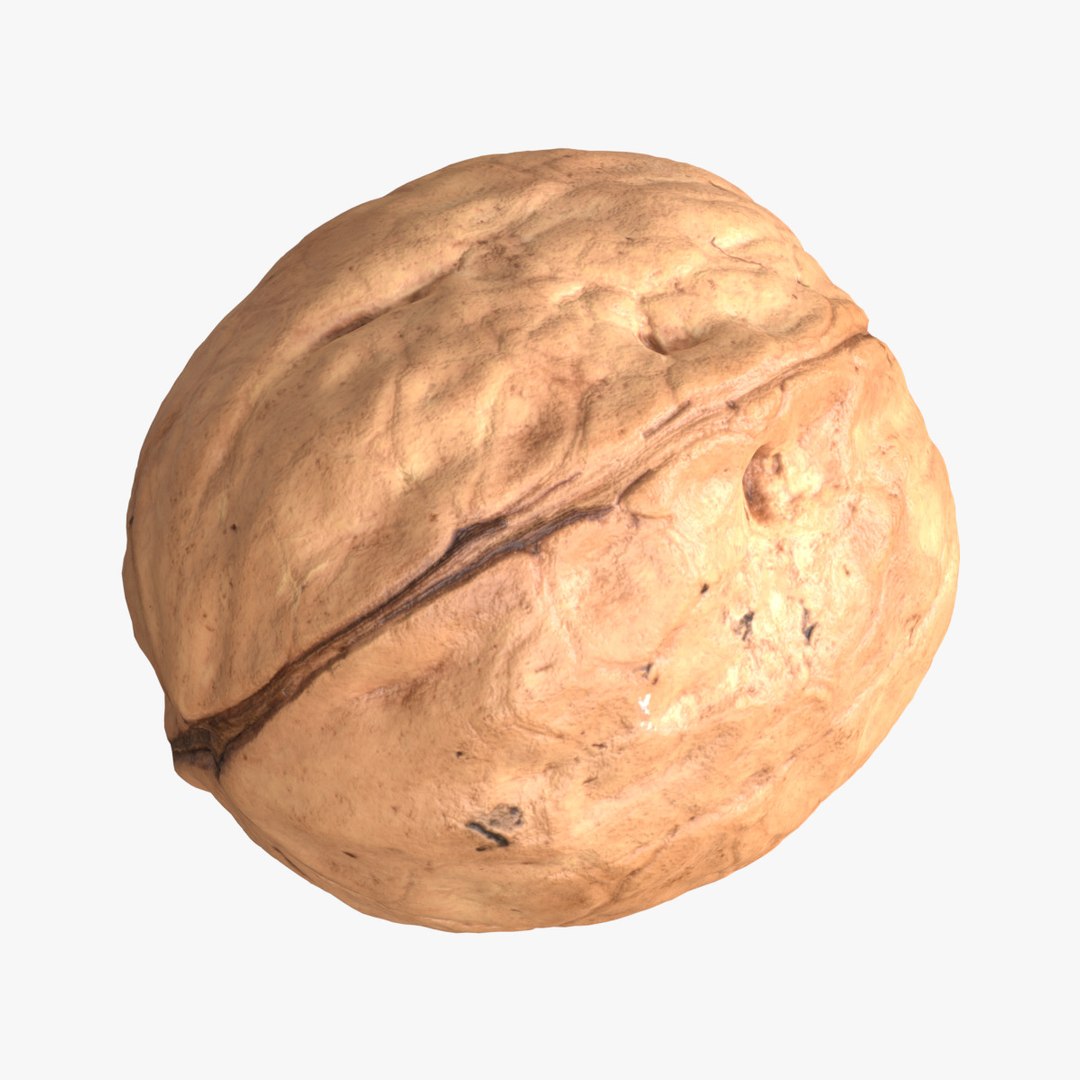 3D Walnut Unshelled 2 - TurboSquid 1954027
