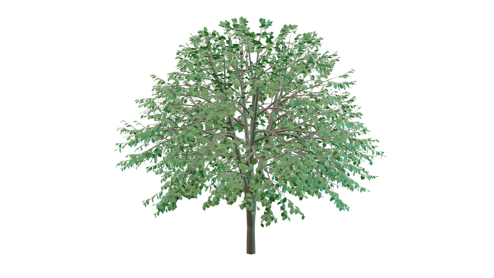 Free 3D Model Cherry Tree Low Poly - TurboSquid 1912432