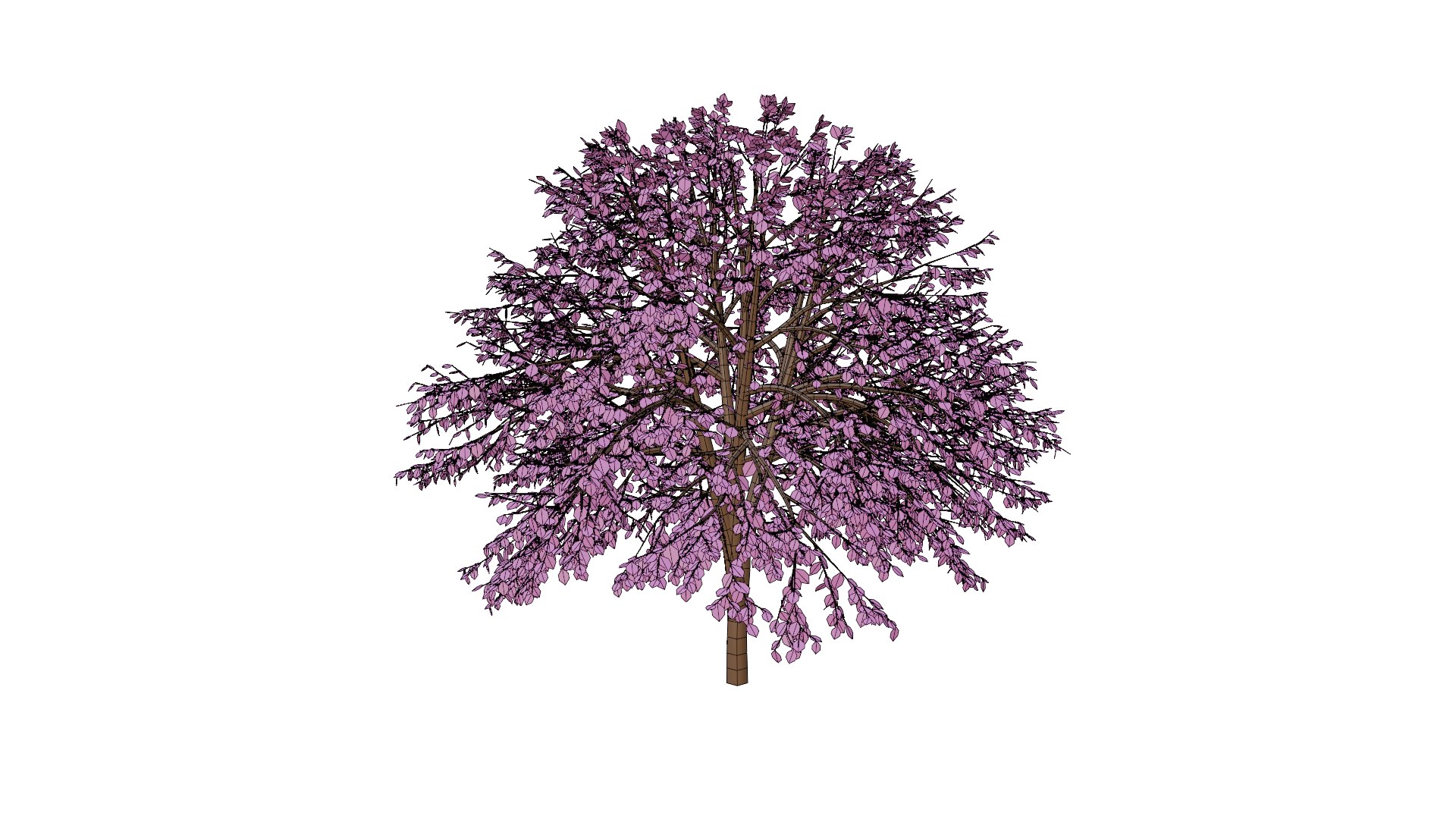 Free 3D Model Cherry Tree Low Poly - TurboSquid 1912432