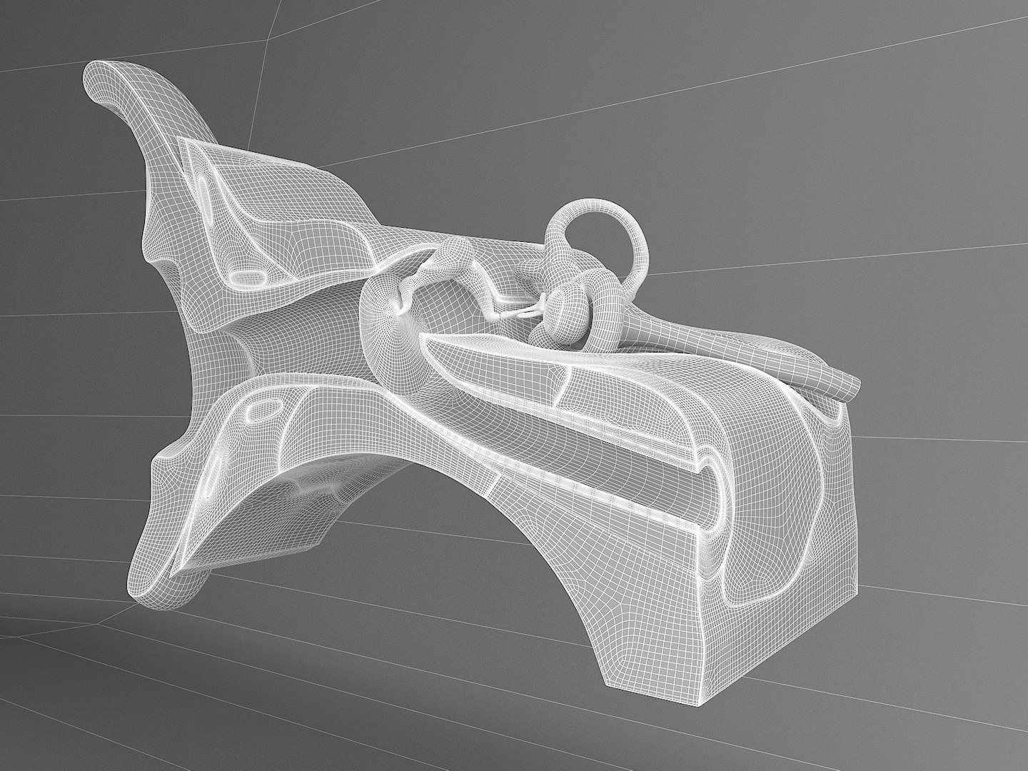 Inner Ear 3D Model - TurboSquid 1393937