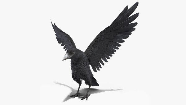 Raven animate 3D model - TurboSquid 1484824