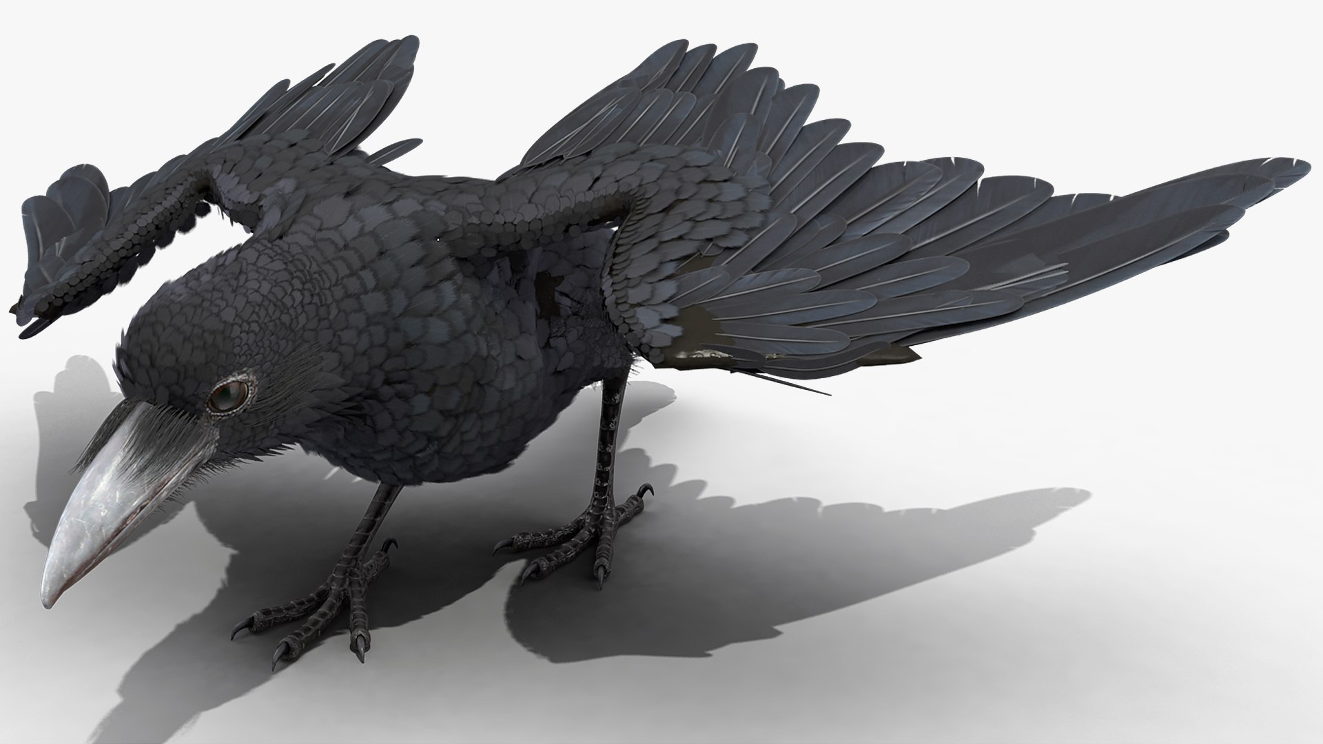 Raven Animate 3D Model - TurboSquid 1484824