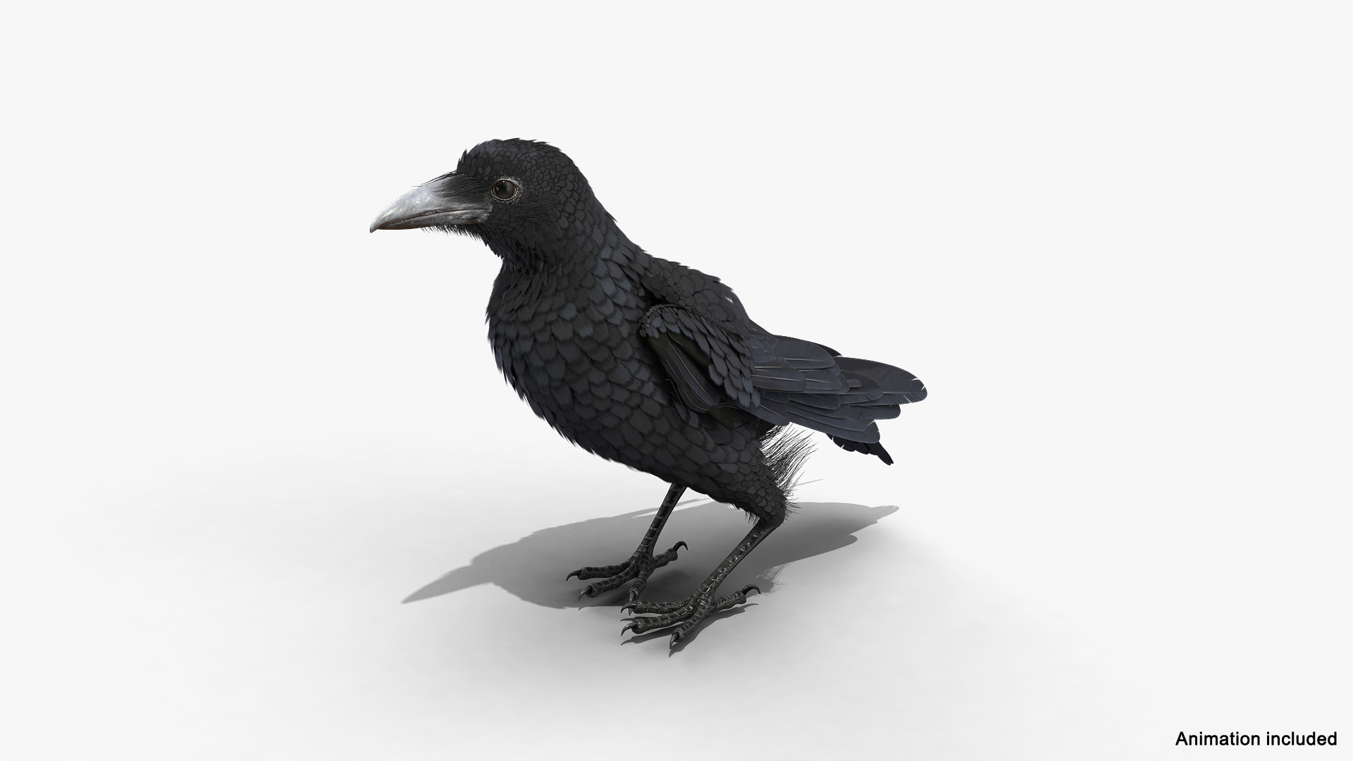 Raven Animate 3D Model - TurboSquid 1484824
