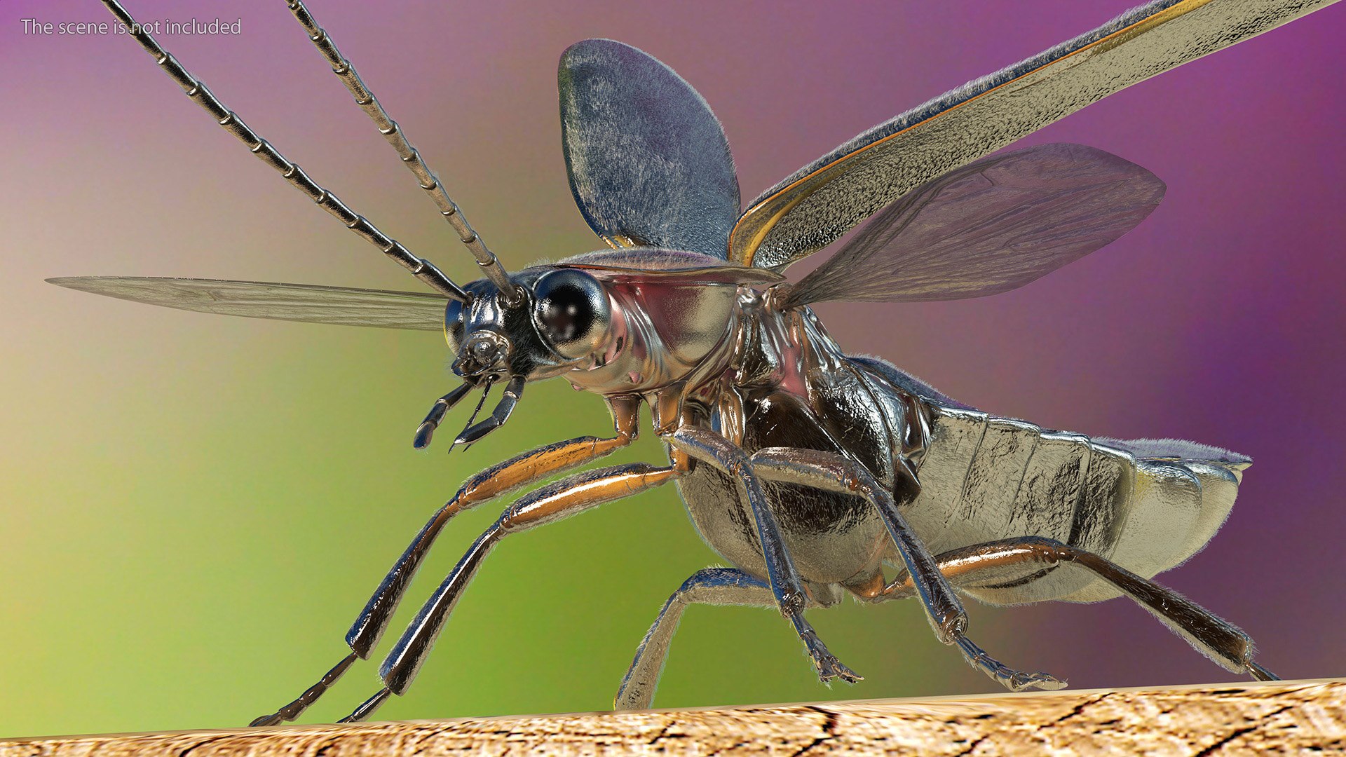 Photinus Pyralis Basic Pose Fur Model - TurboSquid 2170446