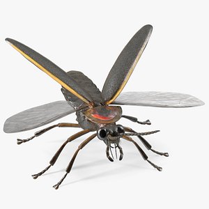 3D Firefly Models | TurboSquid