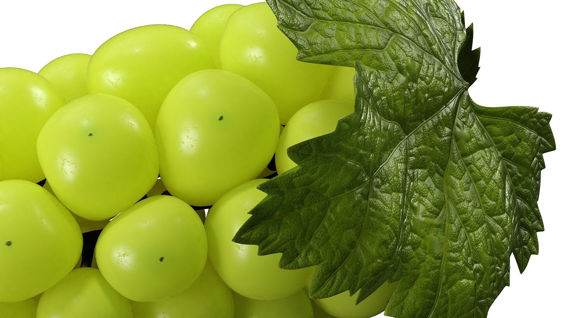 Shine Muscat Grape With Leaves Model - TurboSquid 2396056