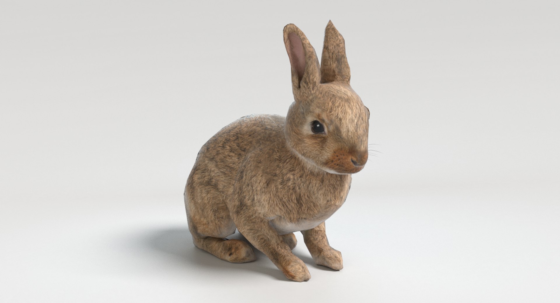 3D Model Rabbit - TurboSquid 1164264