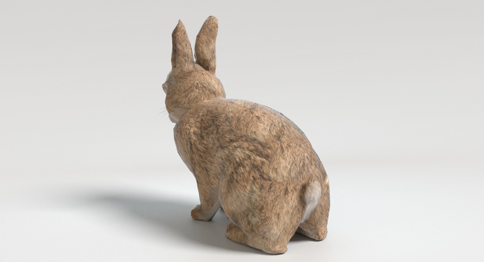 3D Model Rabbit - TurboSquid 1164264