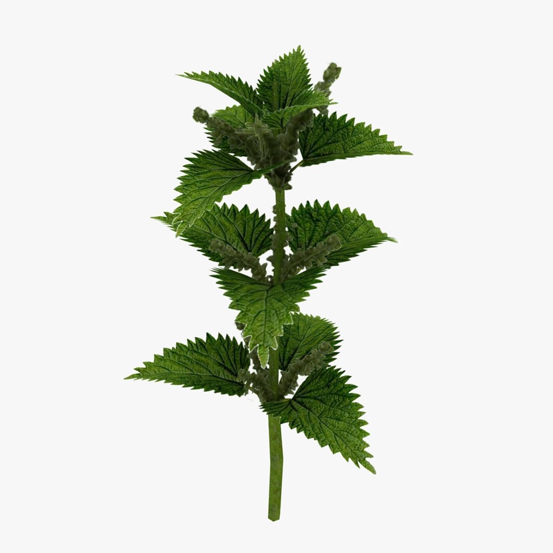 3ds Nettles Stinging