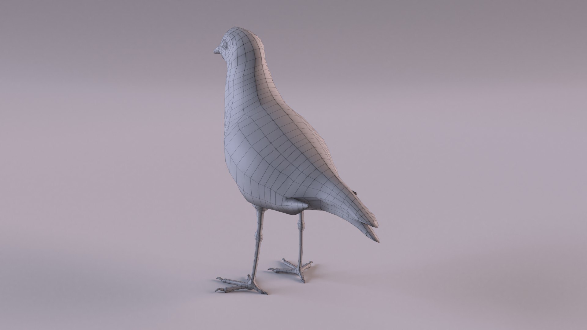 3D Banded Lapwing Vanellus Tricolor - TurboSquid 1698145