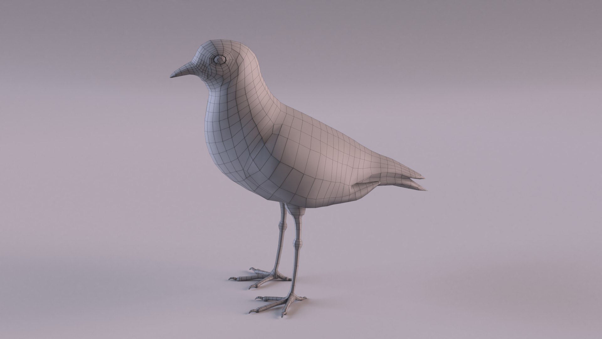 3D Banded Lapwing Vanellus Tricolor - TurboSquid 1698145