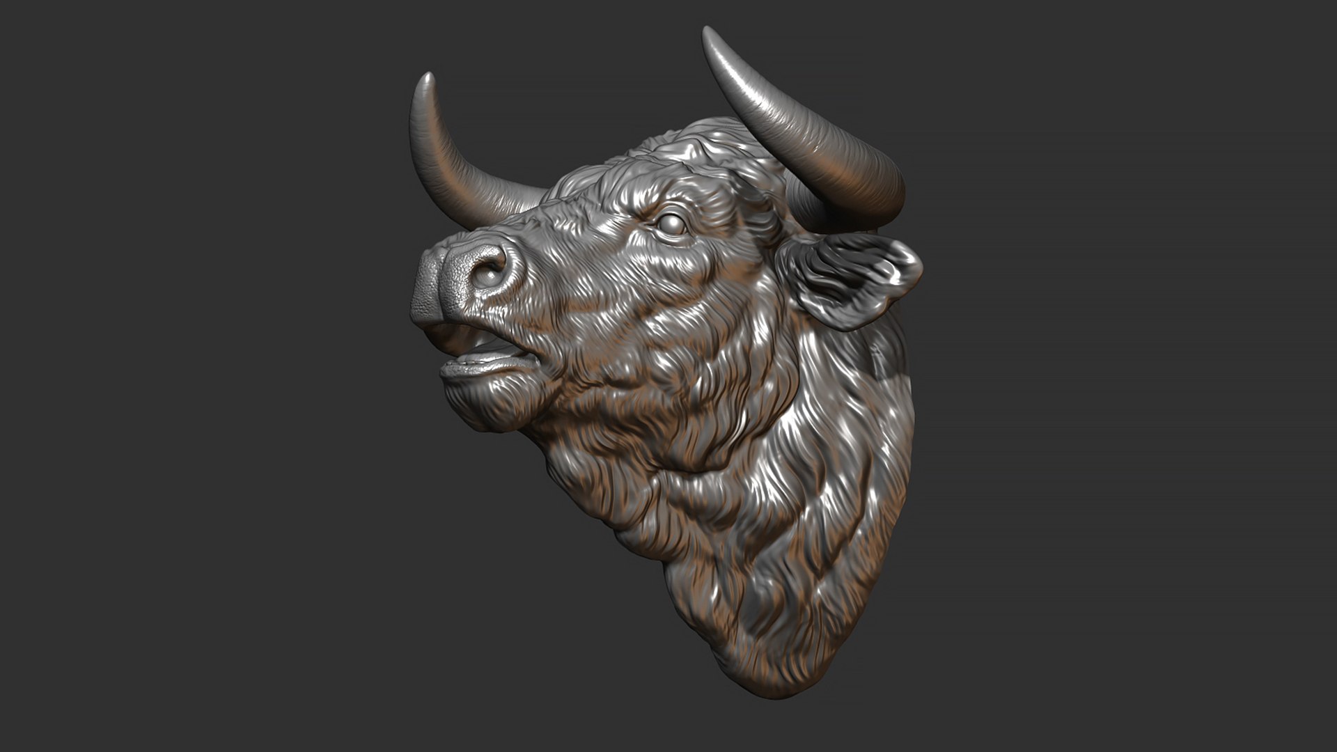 3D Bull Head Bellows - TurboSquid 1923531
