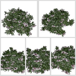 3D Azalea Models - Browse & Download Formats - TurboSquid