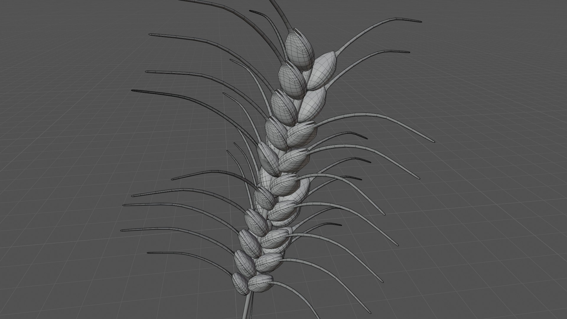 3D Wheat - TurboSquid 1960596