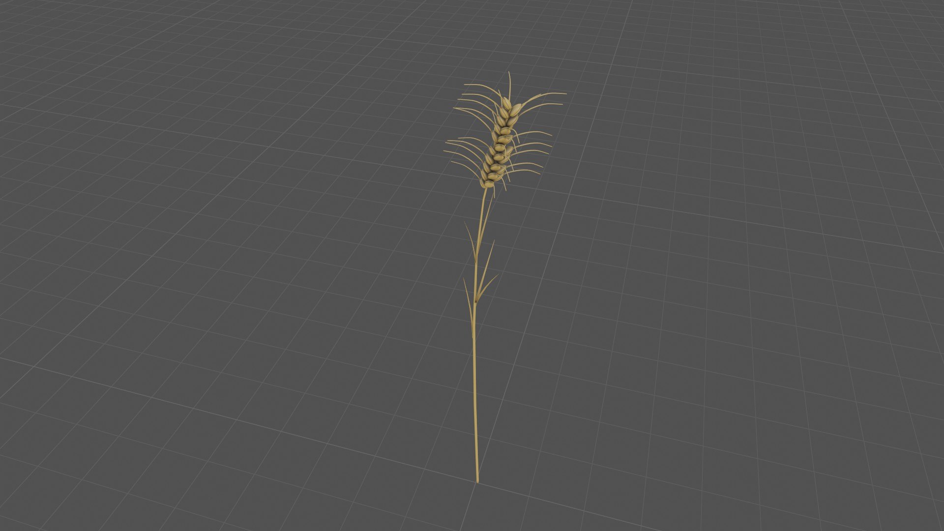 3D Wheat - TurboSquid 1960596