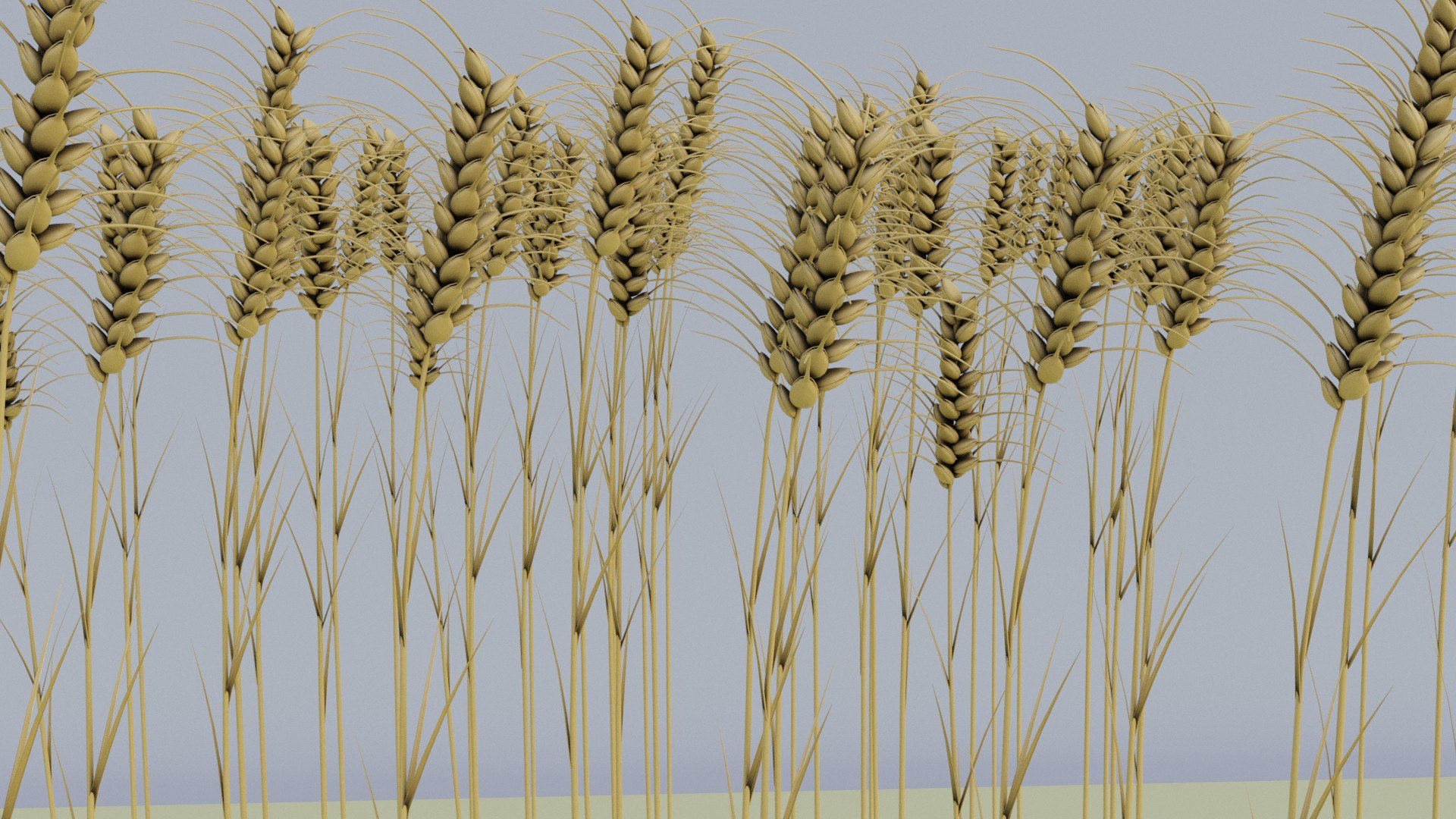 3D Wheat - TurboSquid 1960596