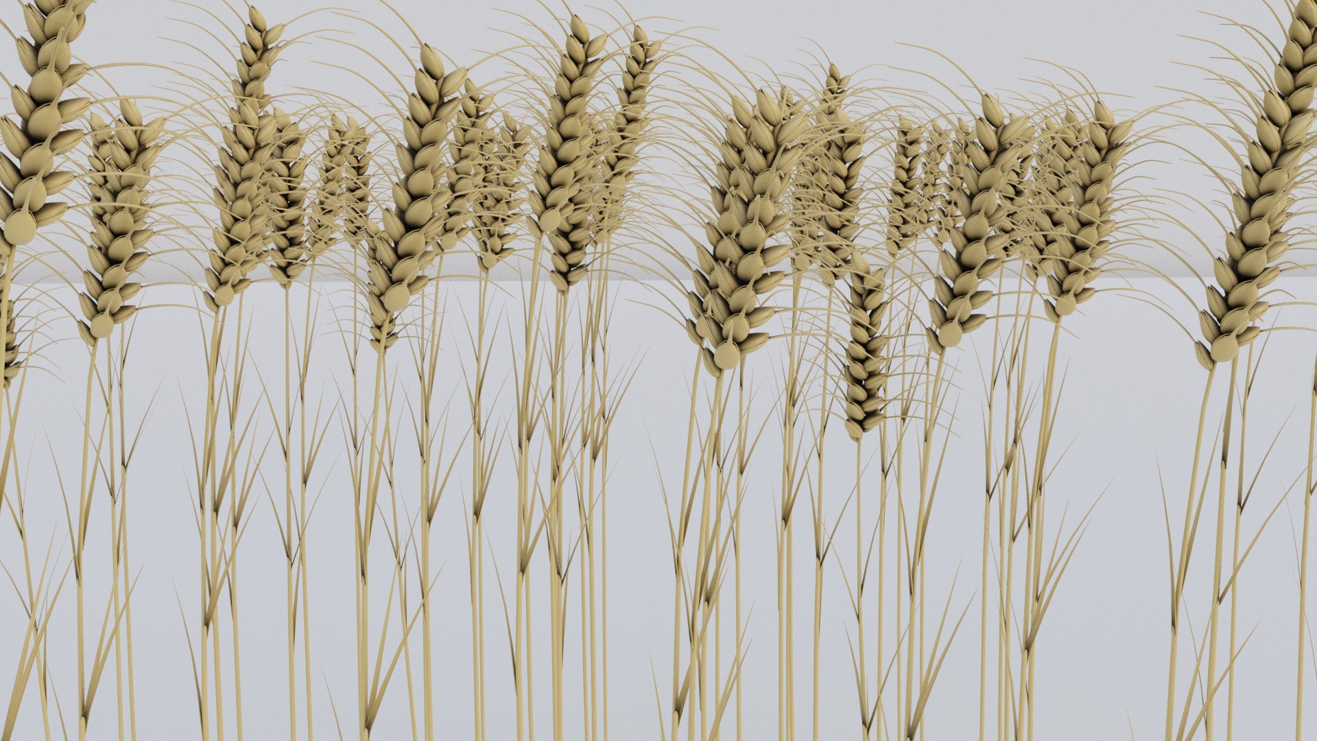 3D Wheat - TurboSquid 1960596