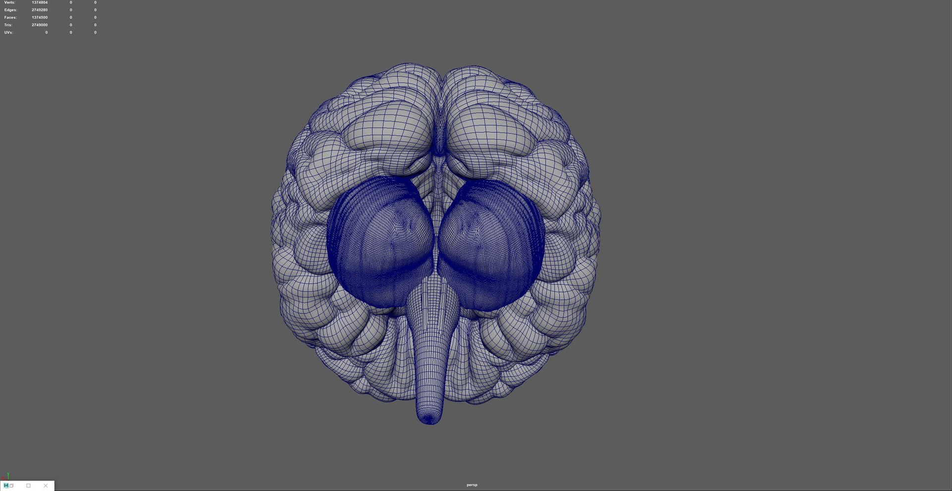 3D Brain Model - TurboSquid 1834778