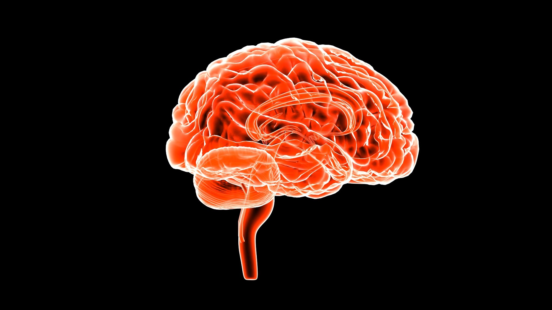 3D Brain Model - TurboSquid 1834778