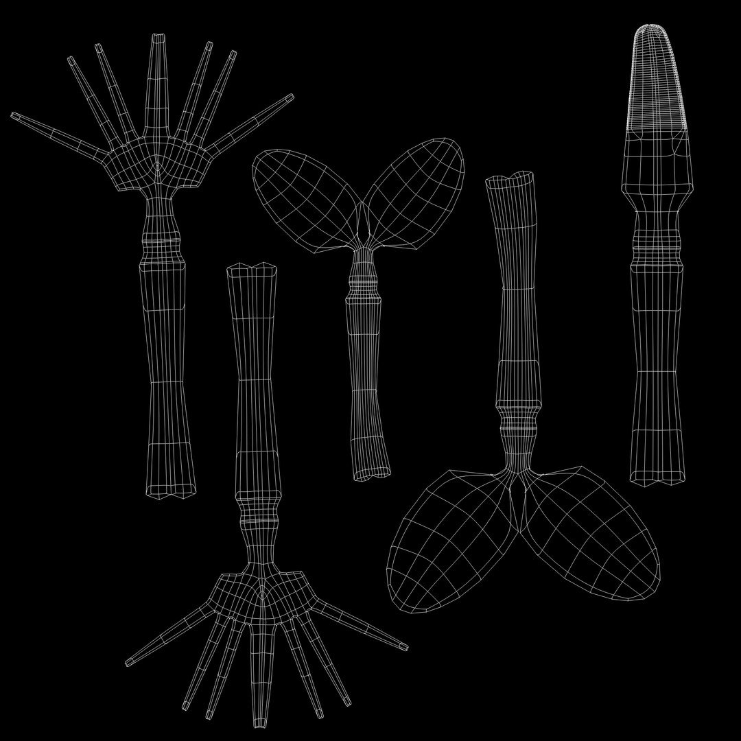 Spoon 3D Model - TurboSquid 2122863