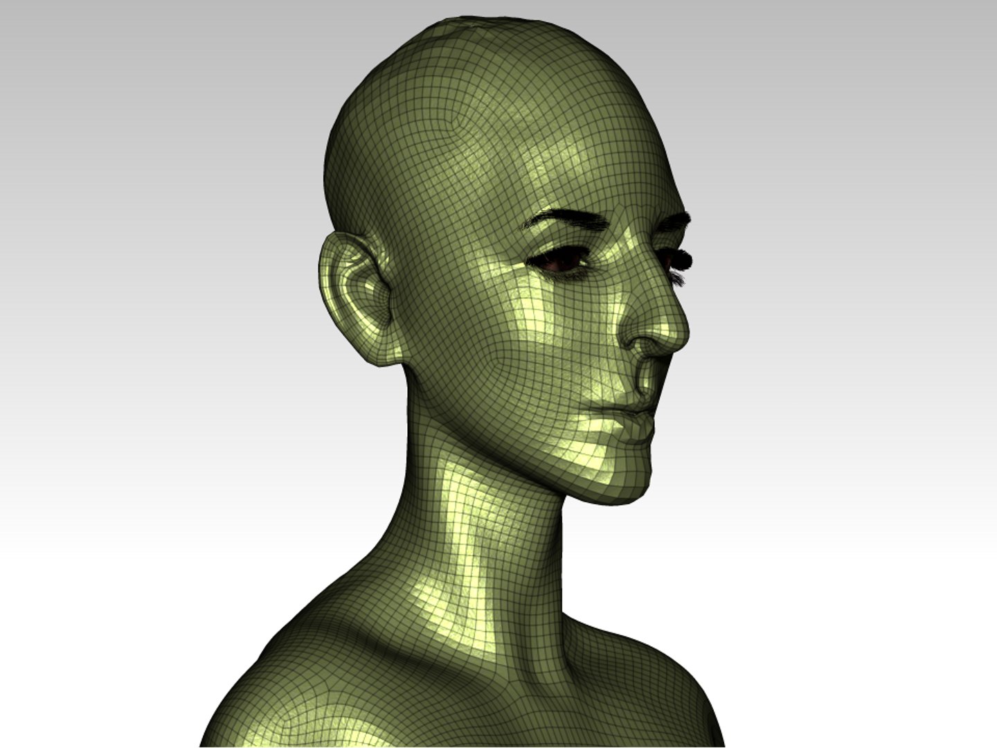 Female Head Model - TurboSquid 1611945