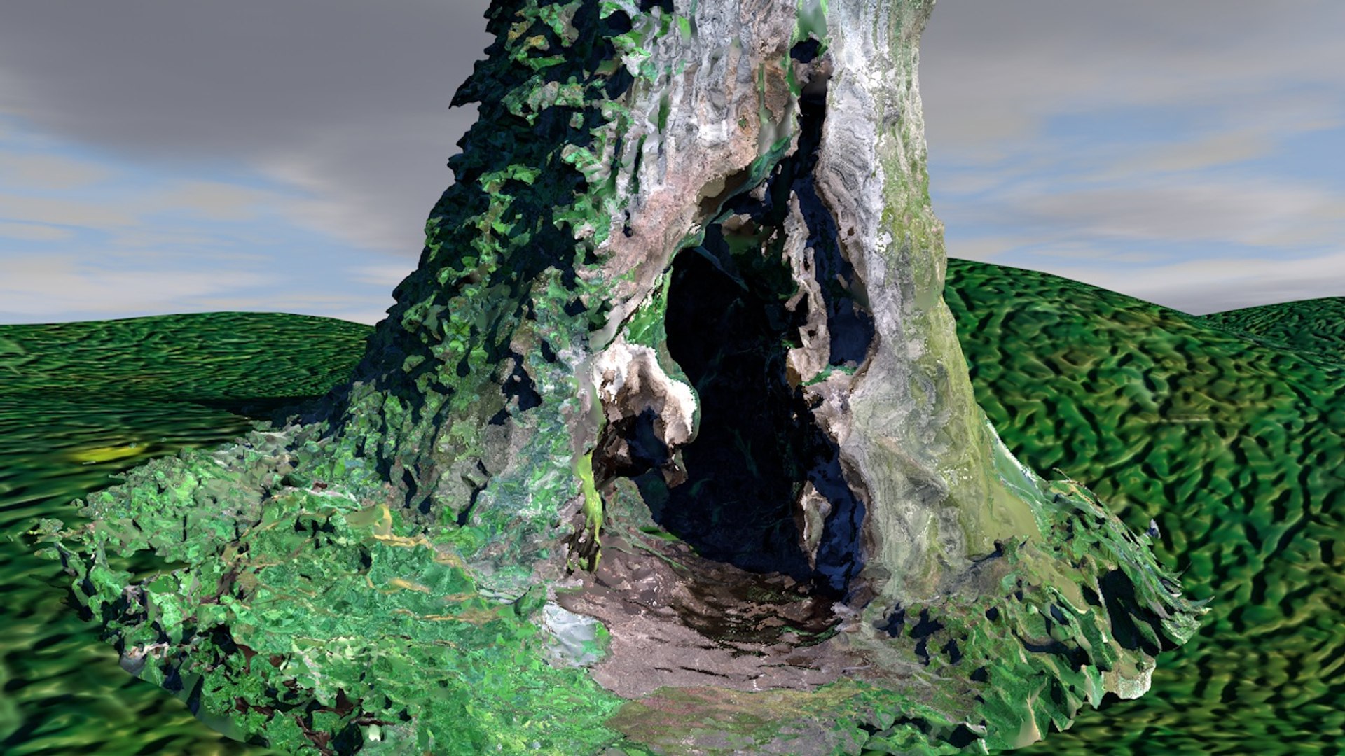 Photogrammetry Tree Trunk Hole 3D Model - TurboSquid 1403681