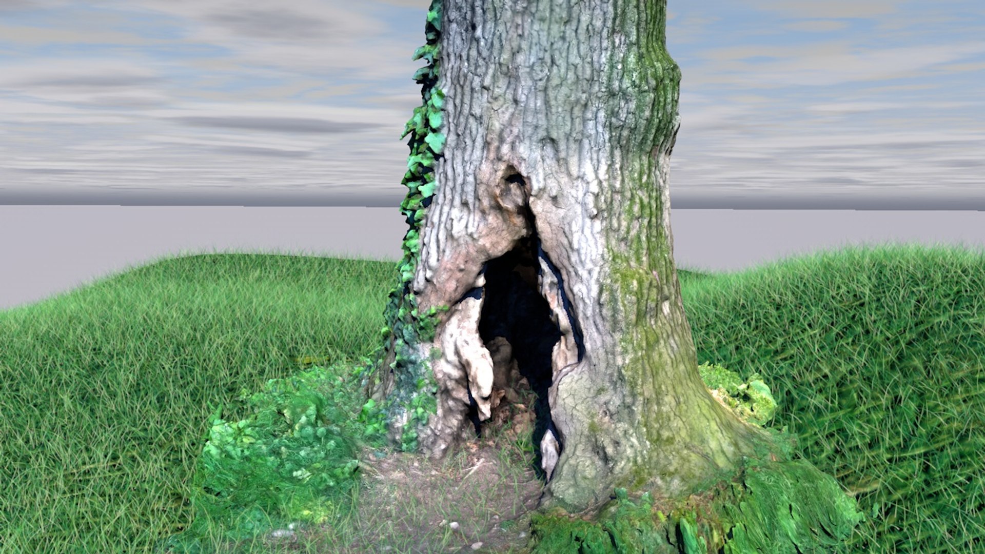 Photogrammetry Tree Trunk Hole 3D Model - TurboSquid 1403681